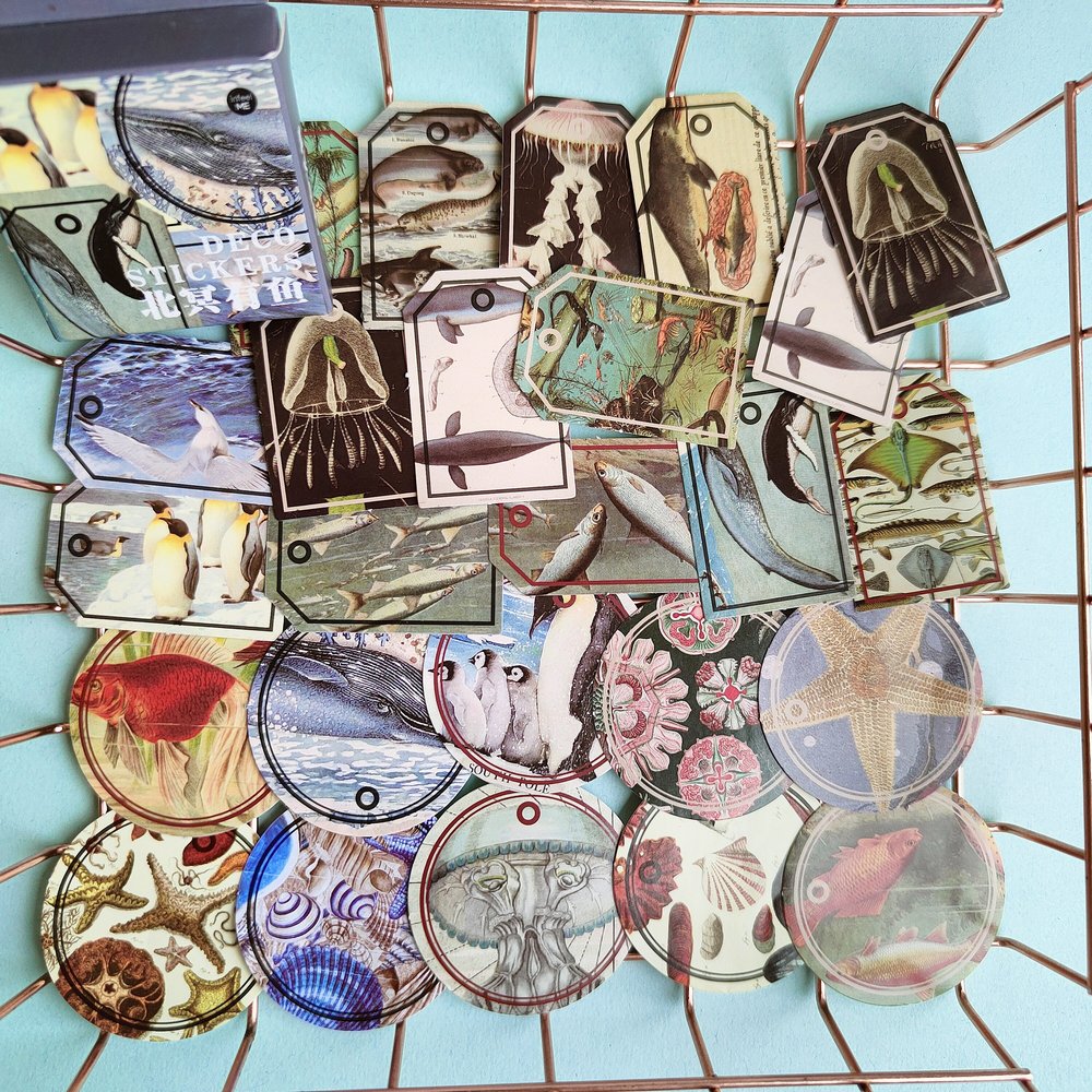 Cajita De Stickers Marine Animales X45 Unidades – Papelería Mundo Kawaii