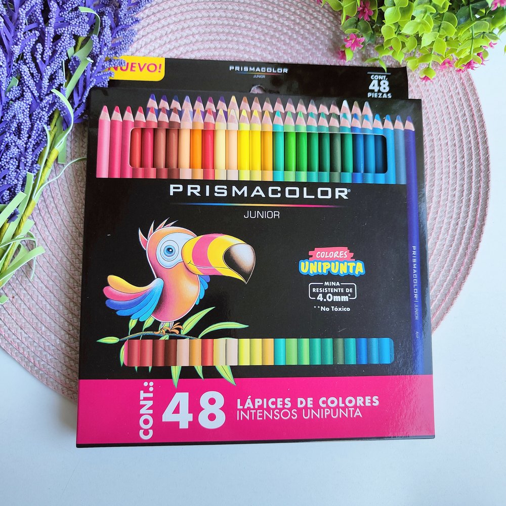 Colores Marca Prismacolor X48 Unidades – Papelería Mundo Kawaii